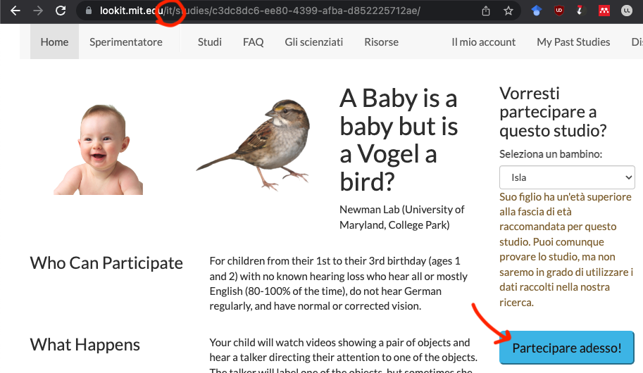 Error in study links generated from translated Lookit site (locale in ...