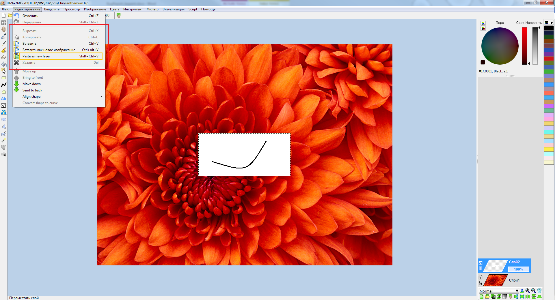 "Paste As New Layer" element · Issue #277 · bgrabitmap/lazpaint · GitHub