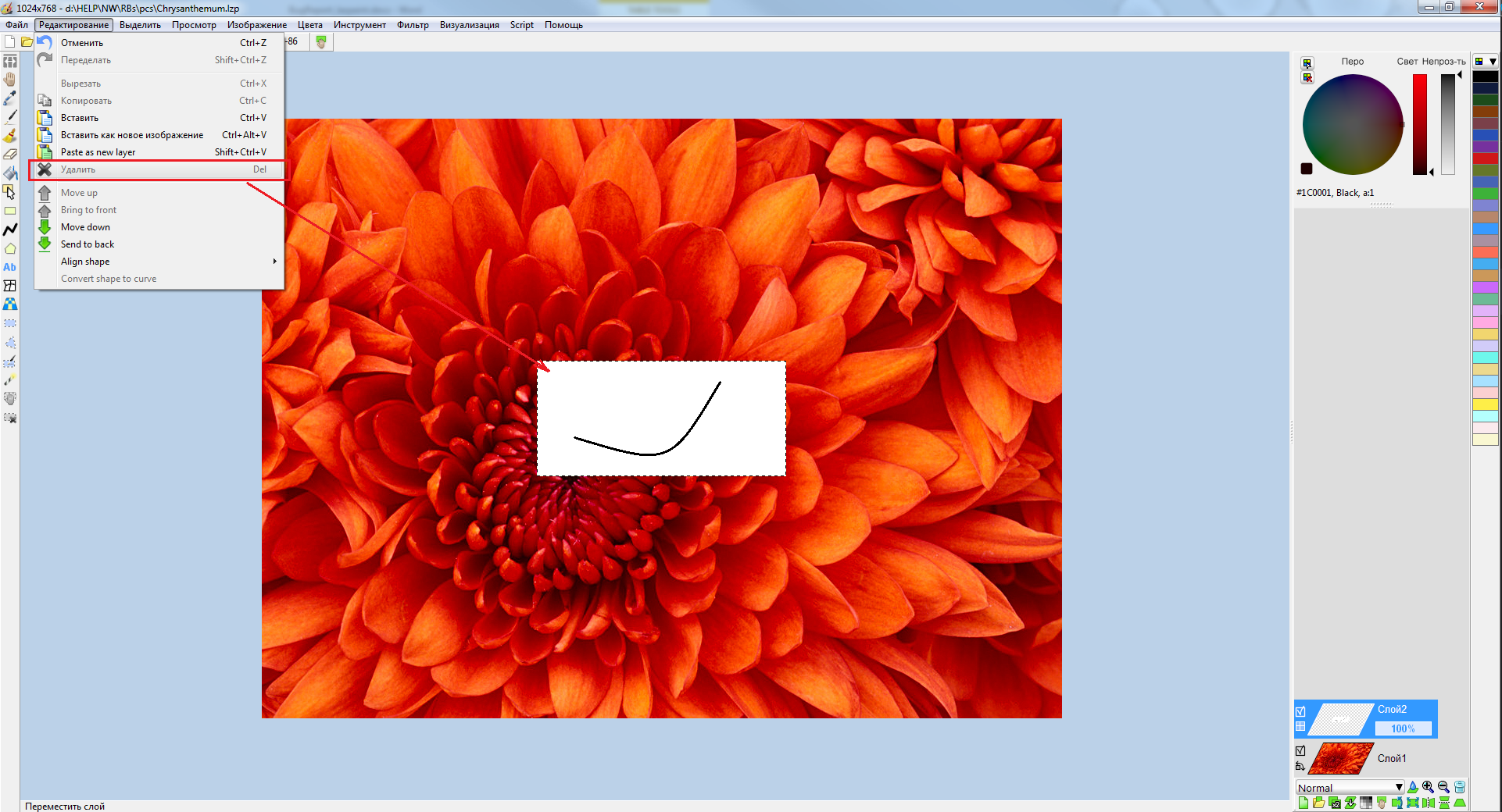 "Paste As New Layer" element · Issue #277 · bgrabitmap/lazpaint · GitHub