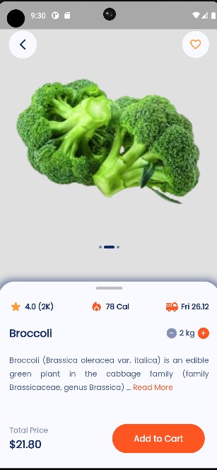 Github Rayat Ullahgroceryappflutter 