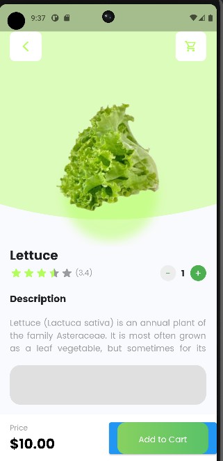 GitHub - Rayat-ullah/grocery_app_flutter GitHub - Rayat-ullah/grocery_app_flutter