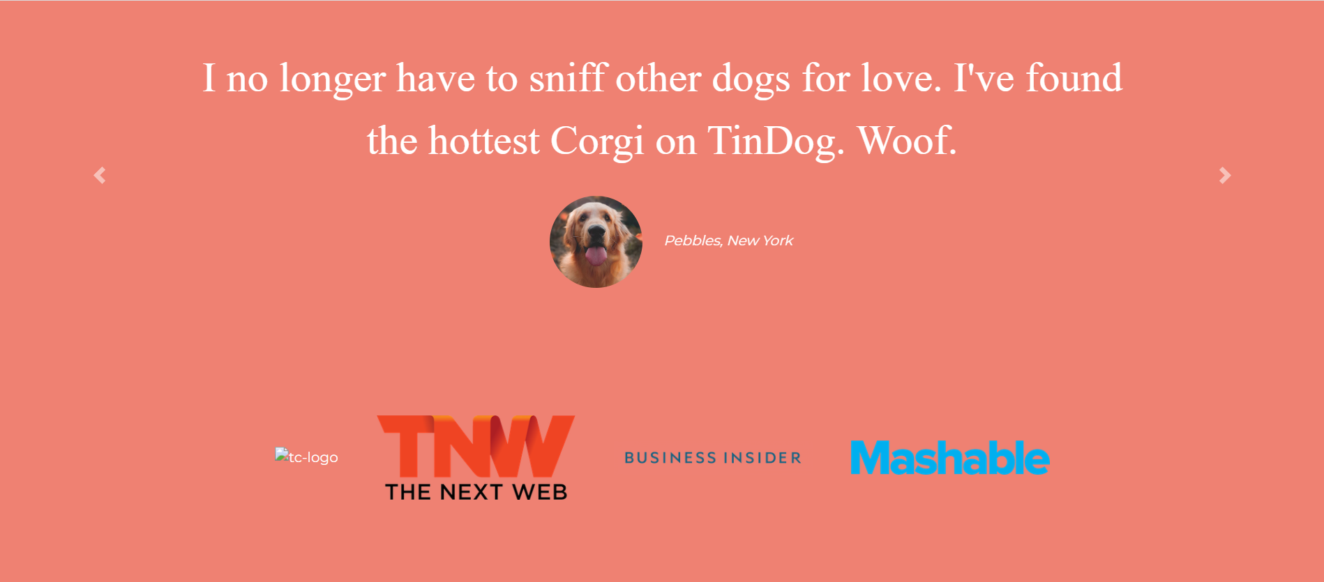 GitHub - princid/TinDog: The basic idea of this project was to create an interactive and ...