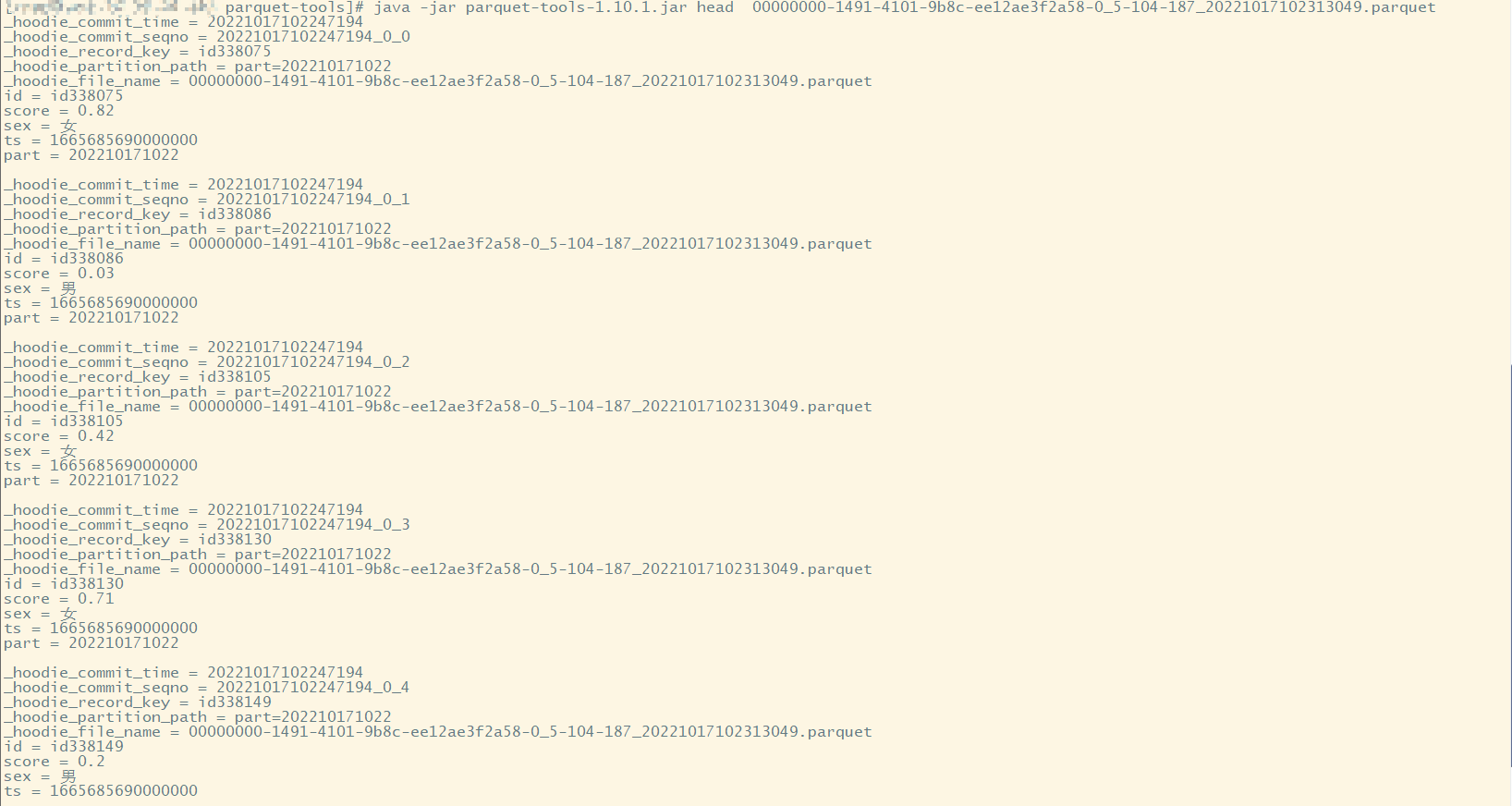 Support Data Can Be Found In The Latest Partition Of Hudi Table But 