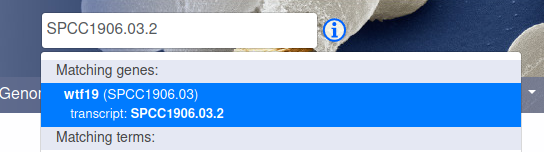 Allow Transcript Ids In Quick Search · Issue 1651 · Pombasewebsite · Github 