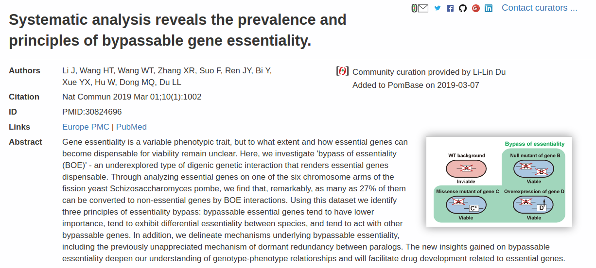 embed graphical abstract at top of publication page · Issue #1229 ...