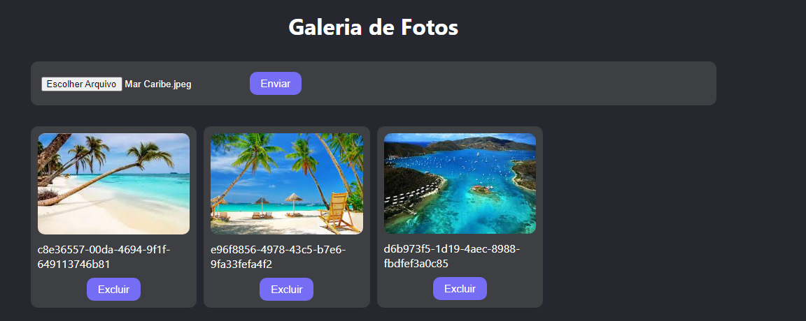 GitHub - fernandofrisso/GALLERY_PROJECT: Projeto com a finalidade de criar uma galeria de fotos ...
