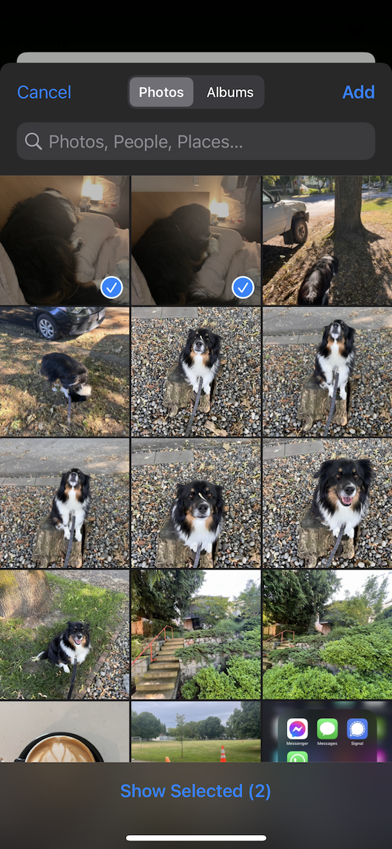 [docs] [expo-image-picker] On iOS option "allowsMultipleSelection ...