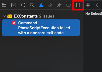 Expo SDK 46: EXConstants Command PhaseScriptExecution failed with a nonzero exit code · Issue ...