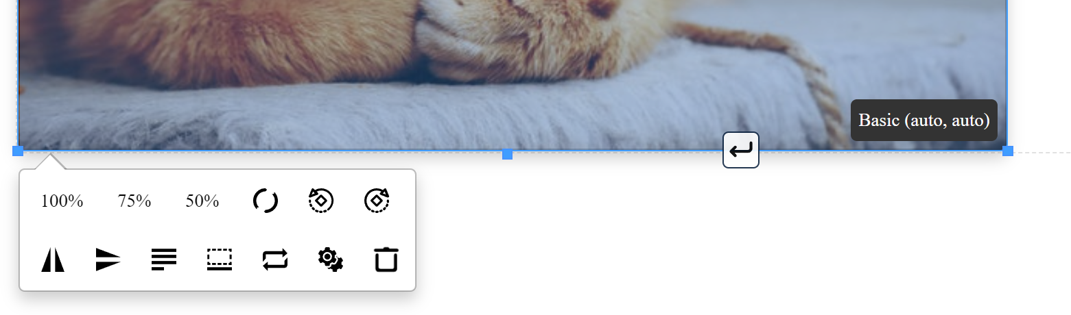 Much better images/videos handling UX · Issue #1157 · JiHong88/suneditor · GitHub