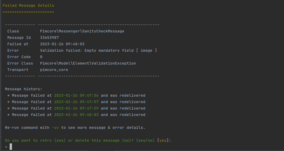 Bug Sanitycheckmessage Should Provide Useful Errorretry Data · Issue 14217 · Pimcore