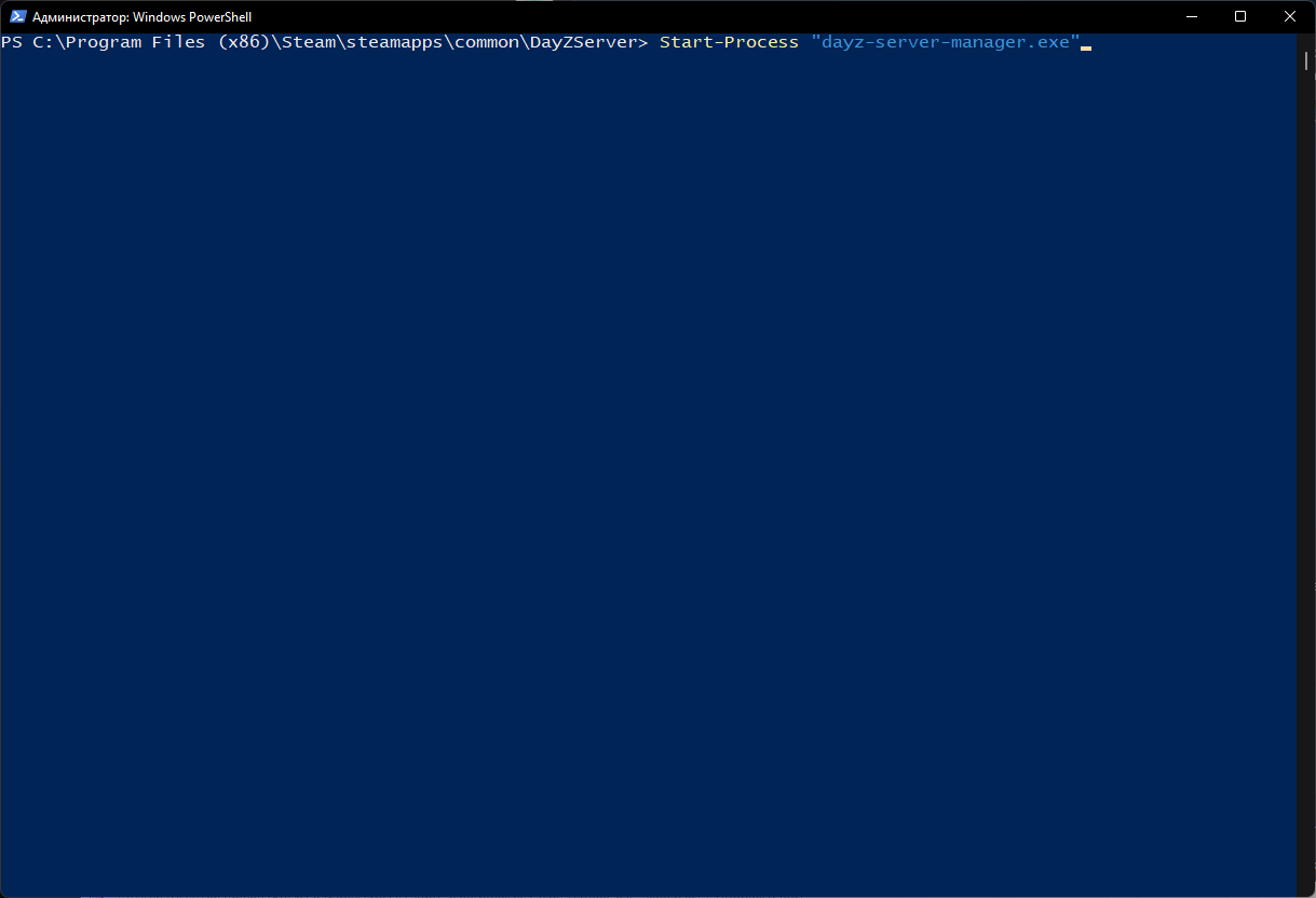 Launch Problem · Issue 10 · Mr Guard Dayz Server Manager · Github