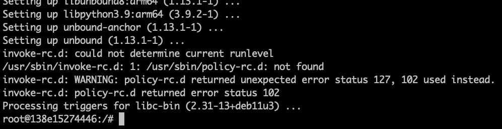 unbound service not starting on docker image · Issue #1171 · pi-hole/docker-pi-hole · GitHub
