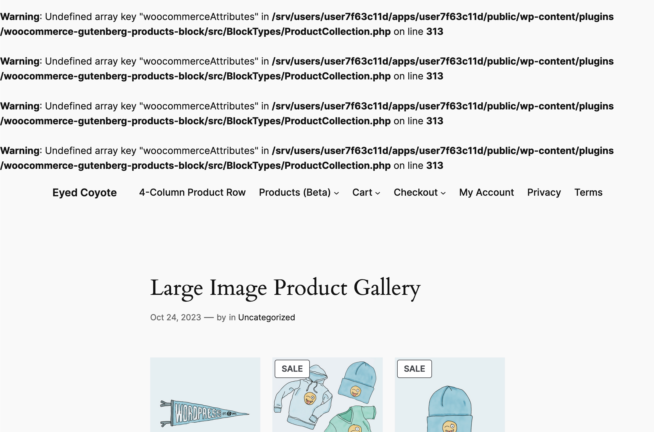Product Collection Undefined Array Key Woocommerceattributes Warning After Migrating From
