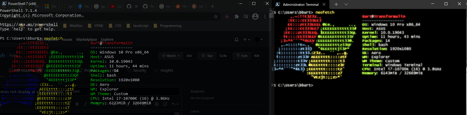 GPU brand/type does not display at all in Windows 10 21H1 · Issue #1908 · dylanaraps/neofetch ...