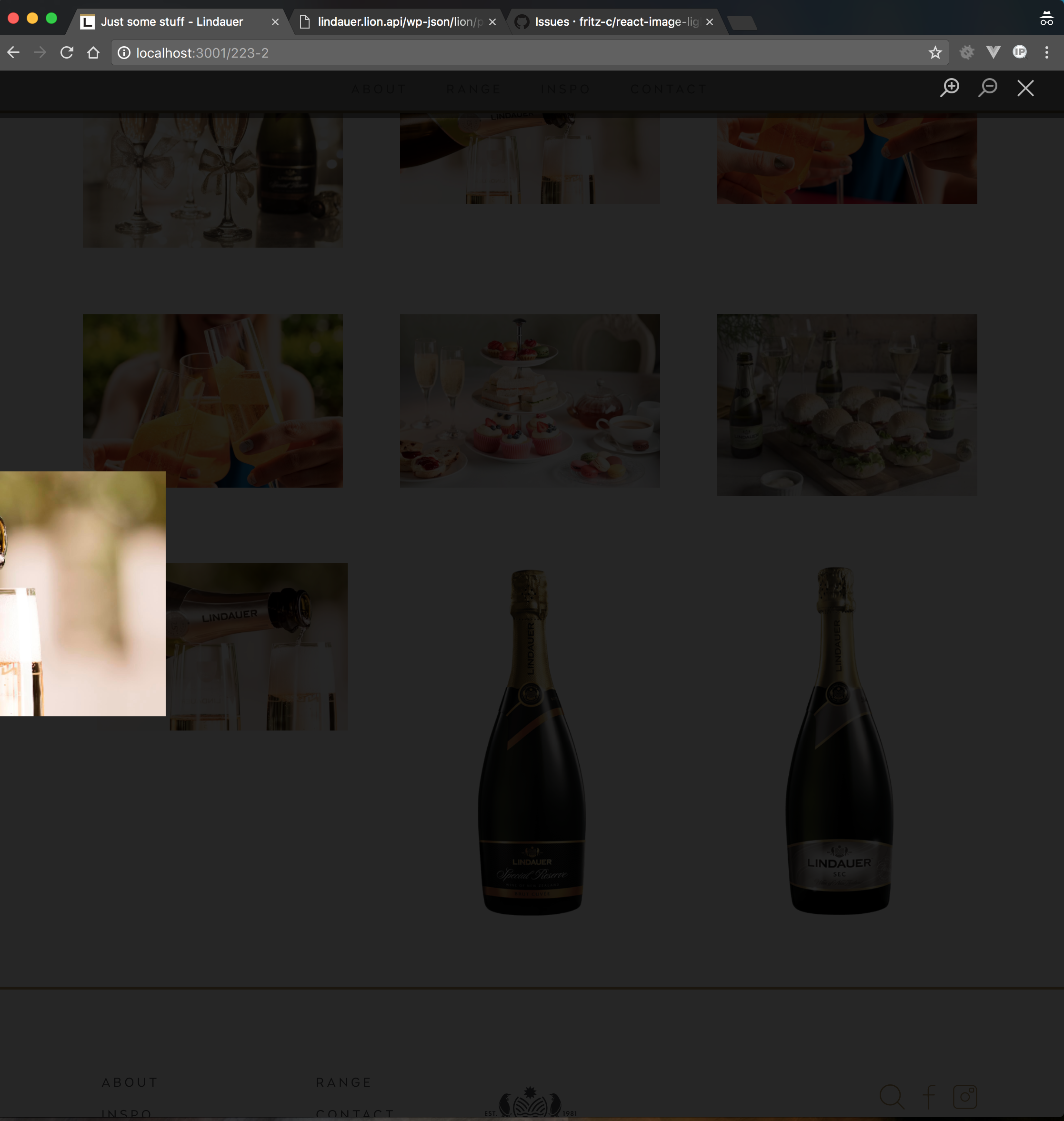 Lightbox unusable, broken layout when using landscape images · Issue #93 · frontend-collective ...