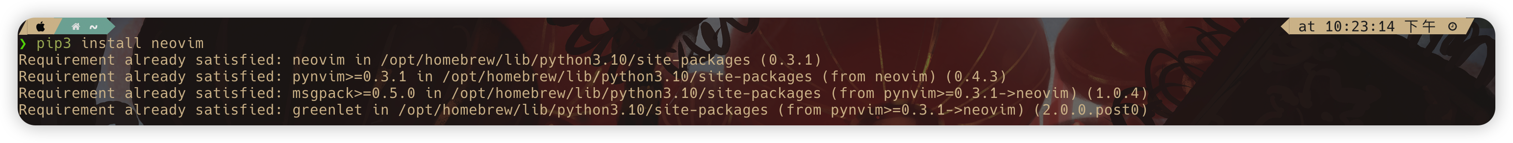 Unable to use and initialize nvim configuration · Issue #461 · ayamir/nvimdots · GitHub
