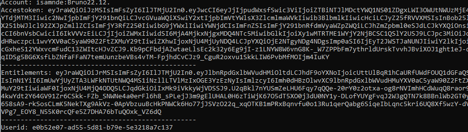 GitHub - liljaba1337/Valorant-auth-example