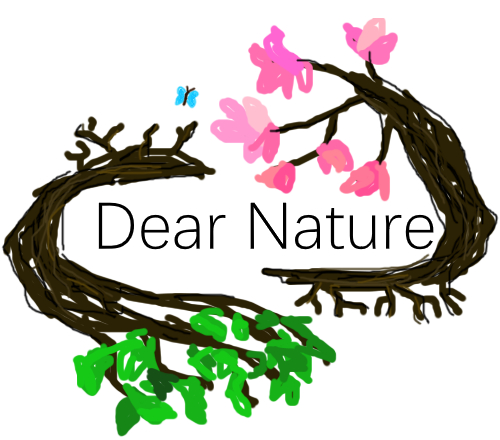 GitHub - RobinXia99/Dear-Nature