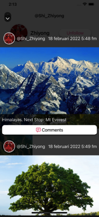 GitHub - RobinXia99/Dear-Nature