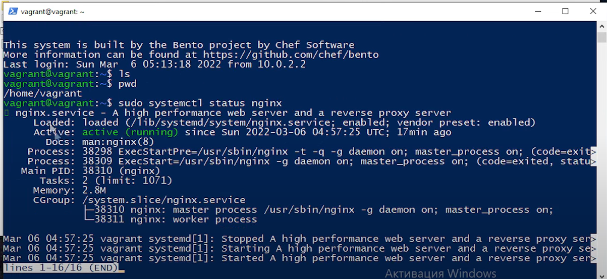 GitHub - ideomat75/lab10