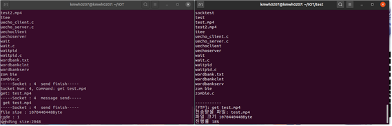 GitHub - daryeou/custom_anonymous_ftp: (대학과제) 커스텀 소켓을 이용한 모의 FTP 콘솔 응용 프로그램입니다.