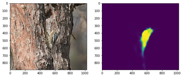 GitHub - ManthanKPatel/Camouflage-Detection