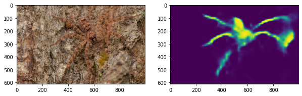 GitHub - ManthanKPatel/Camouflage-Detection