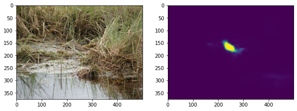 Github Manthankpatel Camouflage Detection