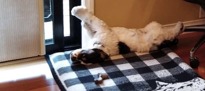 bikeswimrun (Bryan Hageman) · GitHub