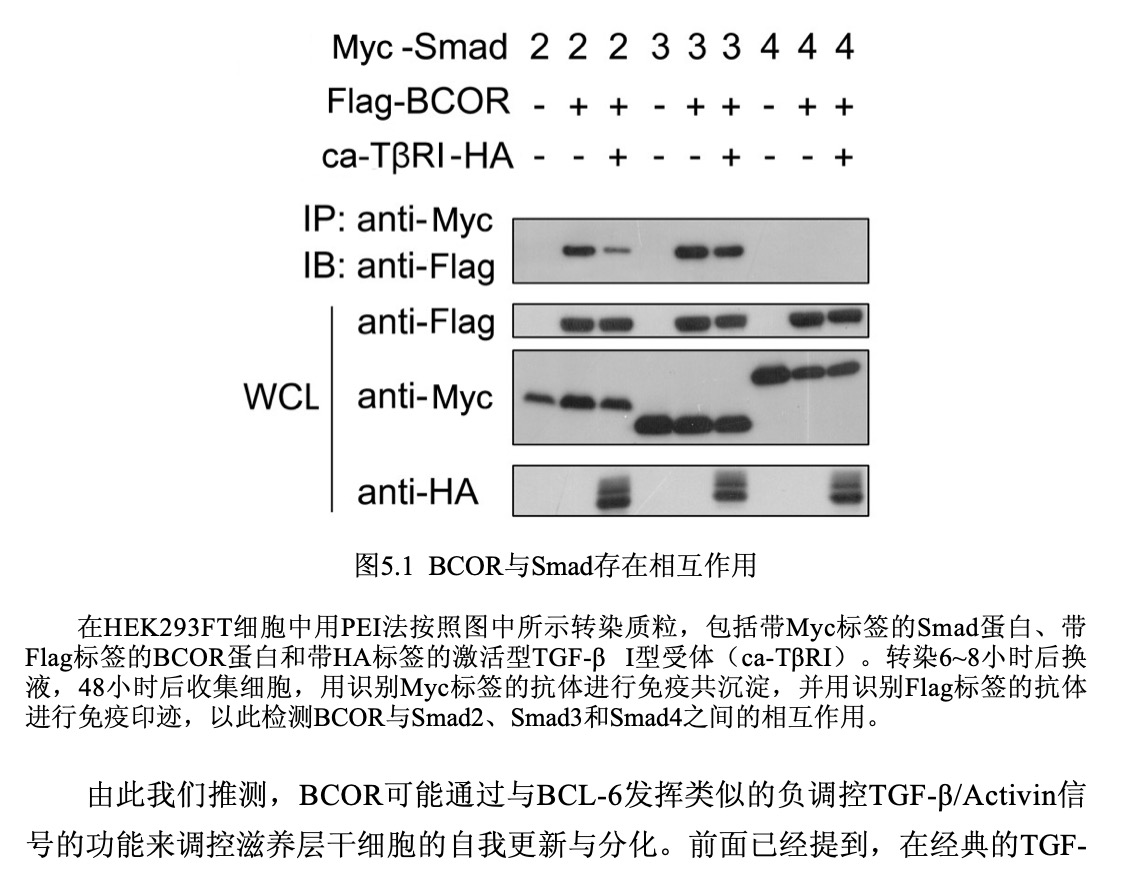 请问图注（或图解）应该怎么插入 · Issue #514 · tuna/thuthesis · GitHub