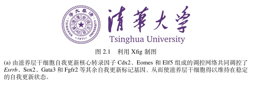 请问图注（或图解）应该怎么插入 · Issue #514 · tuna/thuthesis · GitHub