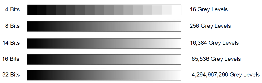 sparc_microct/background.md at main · castuofa/sparc_microct · GitHub