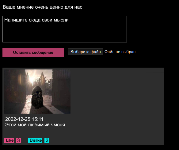 GitHub - Gusenitca/lab2: lab2