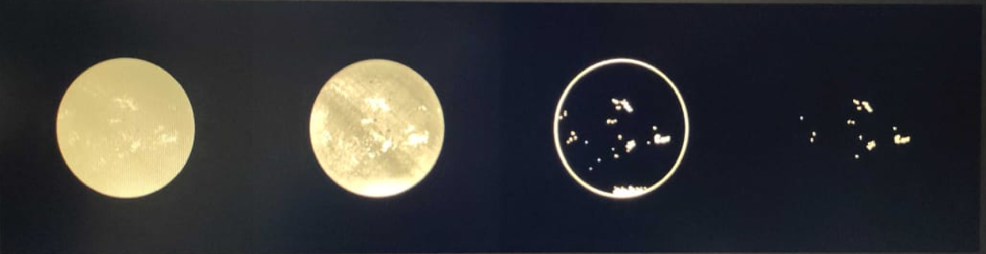 GitHub - CVKuala/Solar-Plage-Detection