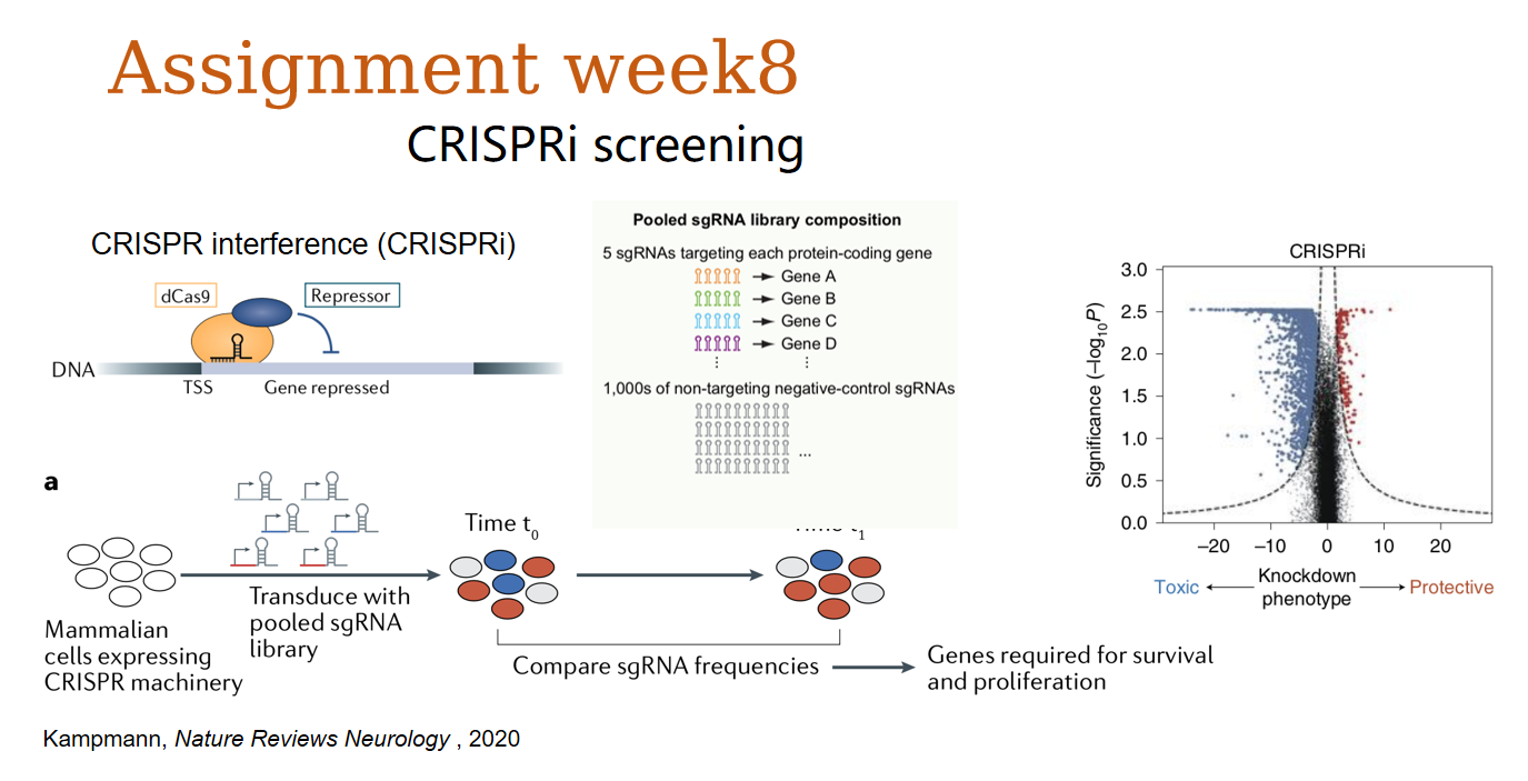 GitHub - BlackTreeBoom/sus.python-for-biology: 南科大python作业的分析布局