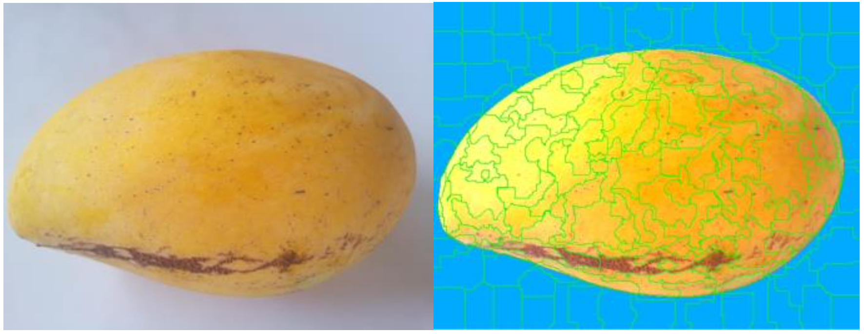 GitHub - abigaile-d/mango-defect-detection-svm-superpixels