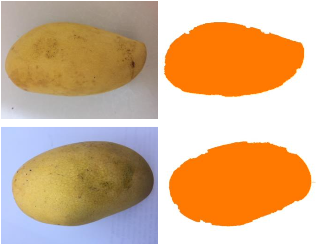 Github Abigaile D Mango Defect Detection Svm Superpixels