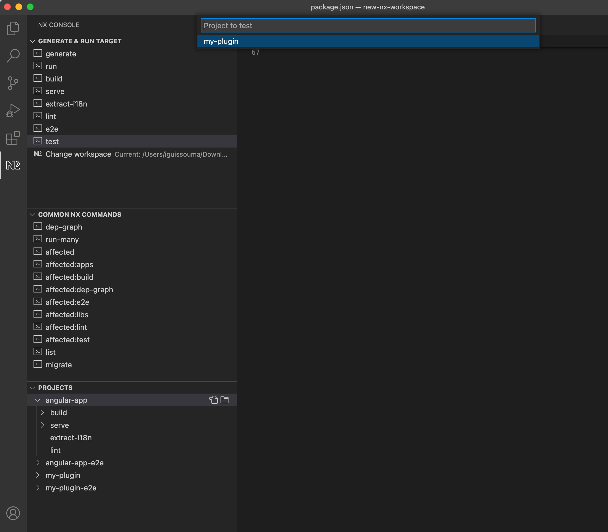 Targets based on project inference not showing in tasks list · Issue #80 · iguissouma/nx-console ...
