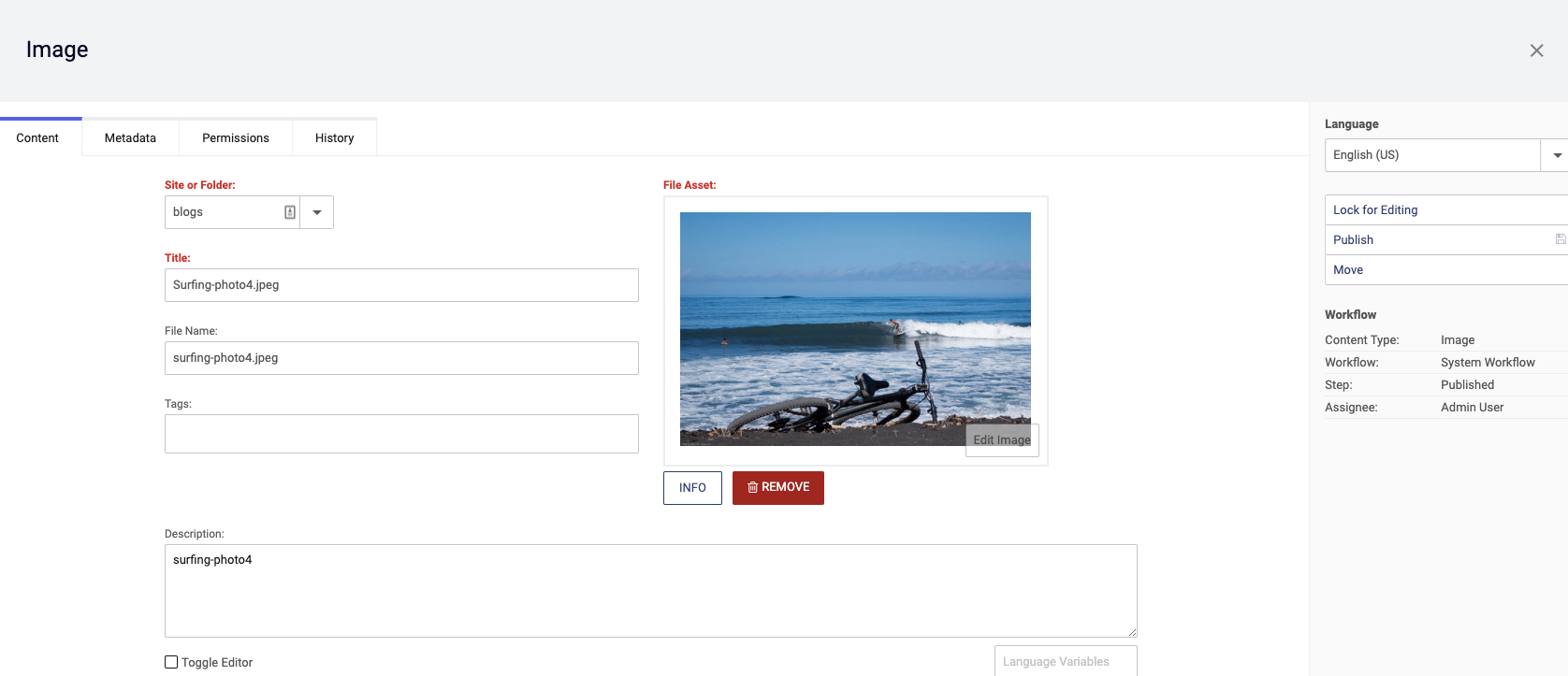 Access Image Version Path From Right Click · Issue 22146 · Dotcmscore · Github 6212