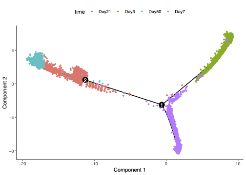 GitHub - AnnieCollier/SingleCell: All scripts related to 10X Genomics single cell analysis