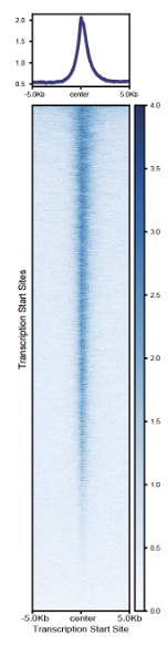 GitHub - AnnieCollier/NGS-Analysis: Code for mapping and analyzing NGS data