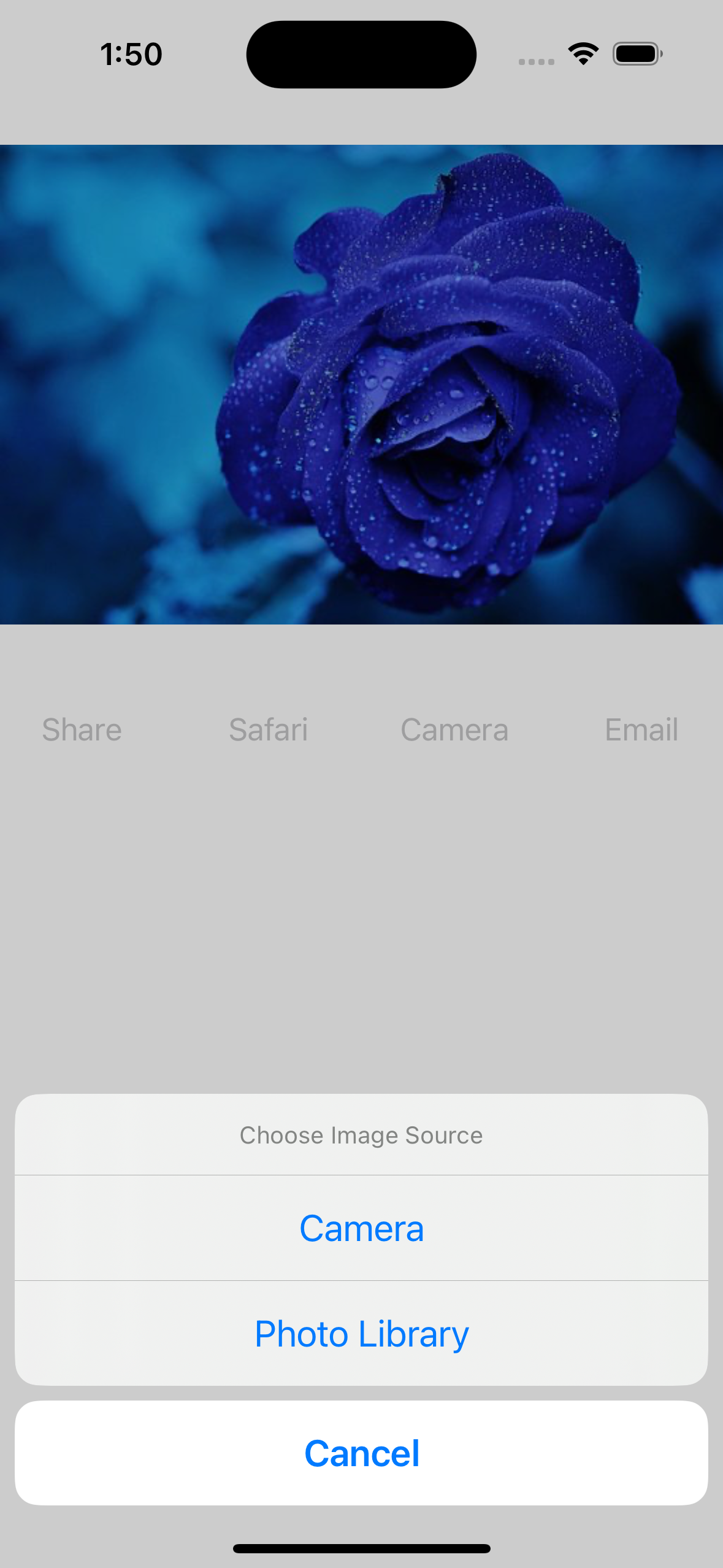 GitHub - sanskritisinha02/SystemViewControllers: Exercise : System view controllers(Develop in ...