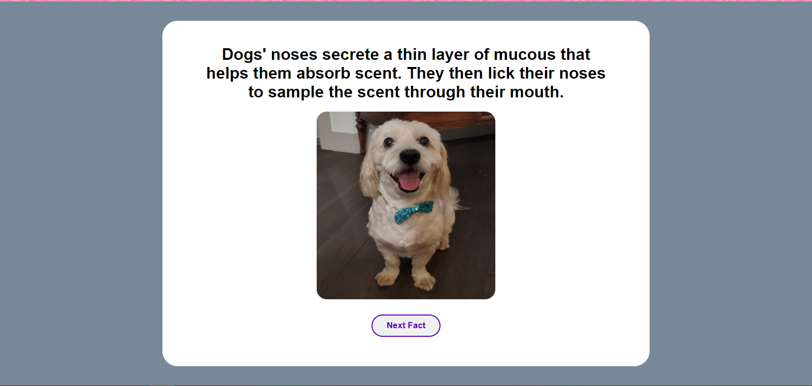 GitHub - AliciaPak25/Challenge-React-JS-StarAppX