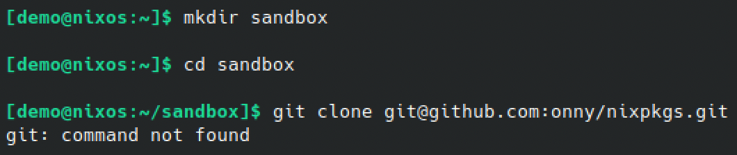 Fails to start on NixOS - Unhandeled exception: Access violation · Issue #515 · bgrabitmap ...