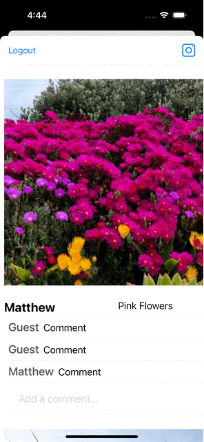 GitHub - stewartmatthew/Gram-app: iOS Instagram clone