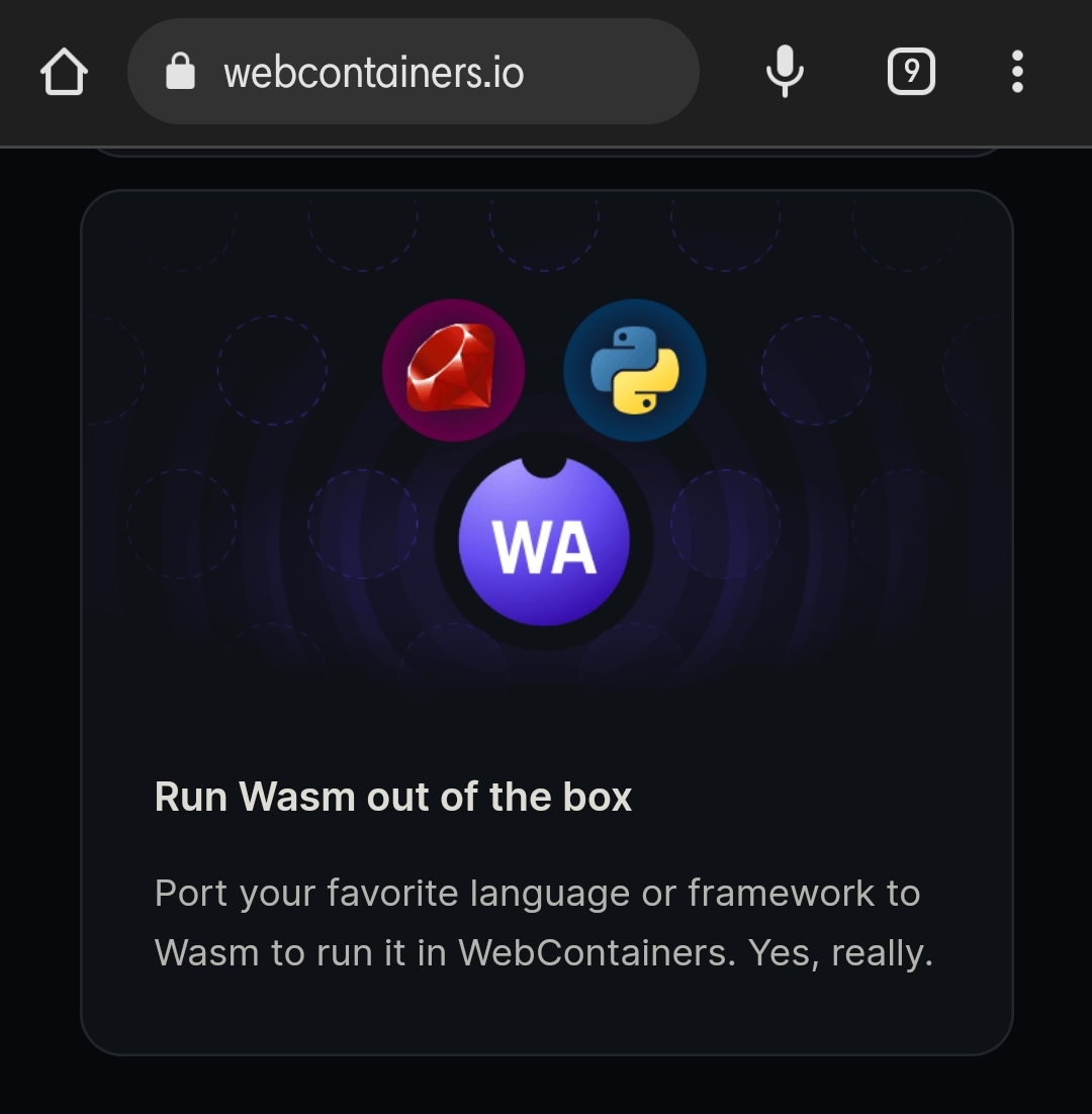 Package Manager · Issue #1015 · stackblitz/webcontainer-core · GitHub
