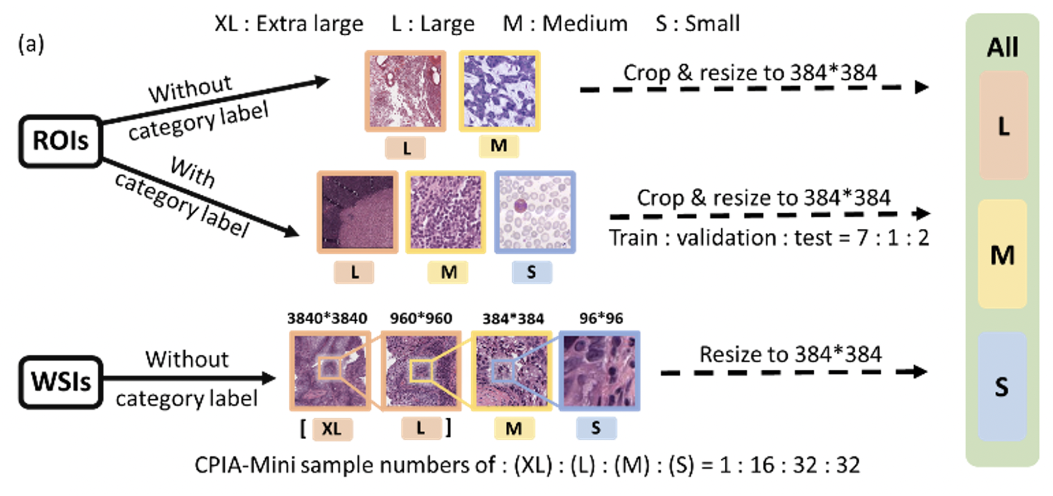 GitHub - zhanglab2021/CPIA_Dataset