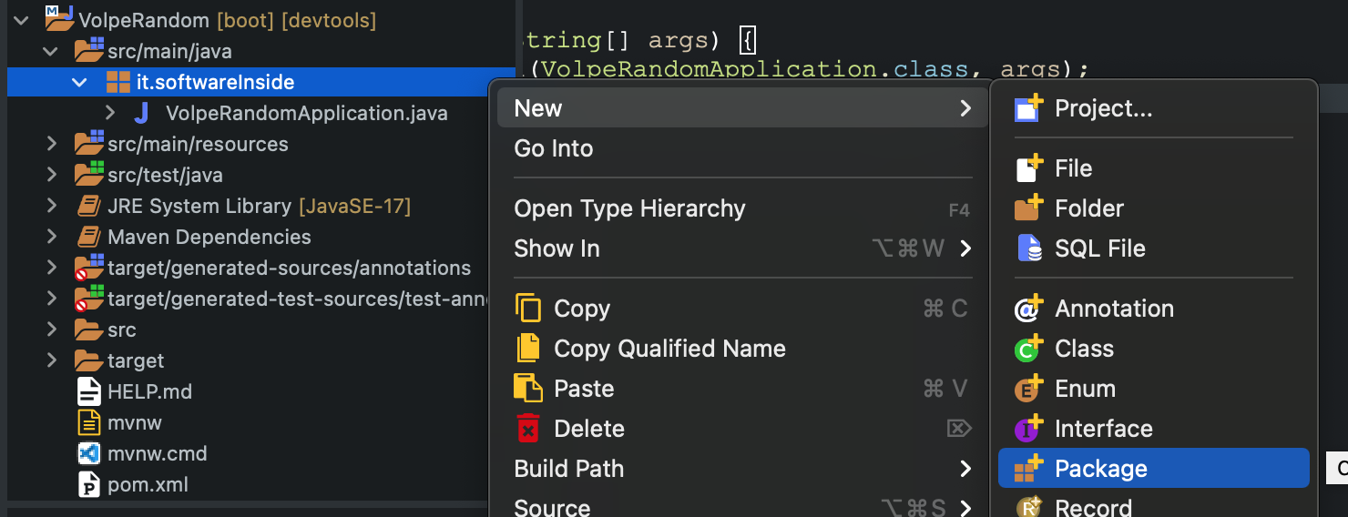 GitHub - norma92/progetto-volpe