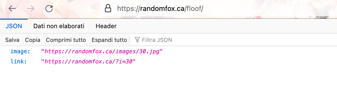 GitHub - norma92/progetto-volpe