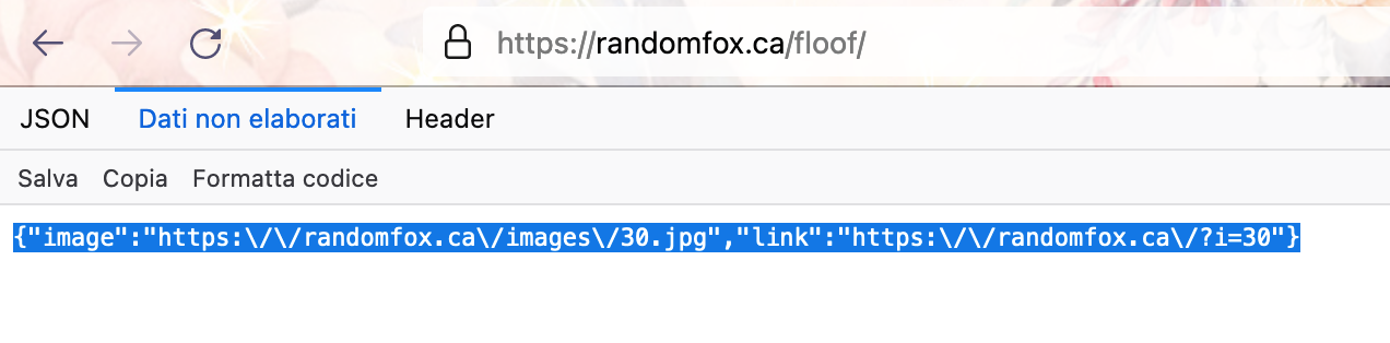GitHub - norma92/progetto-volpe